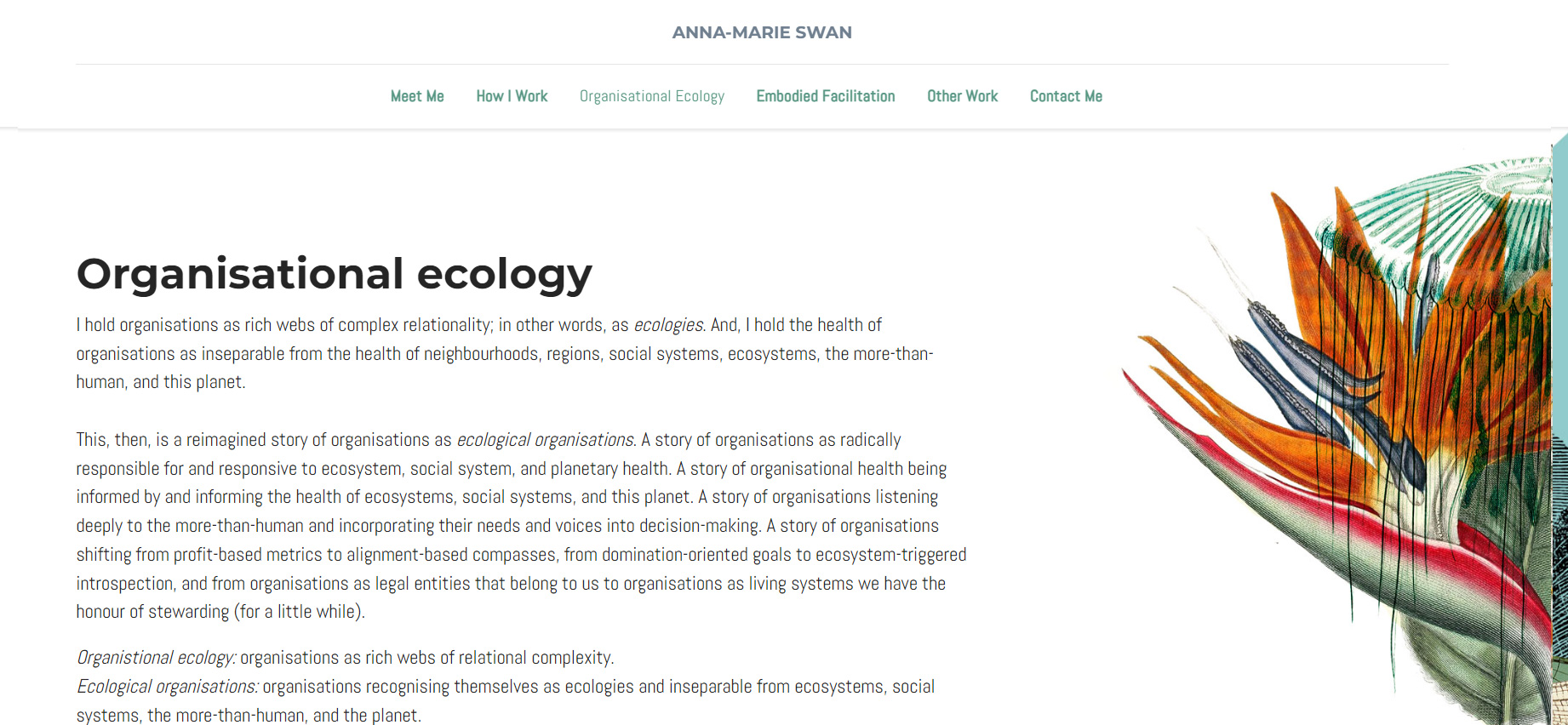 Ecological Organisations